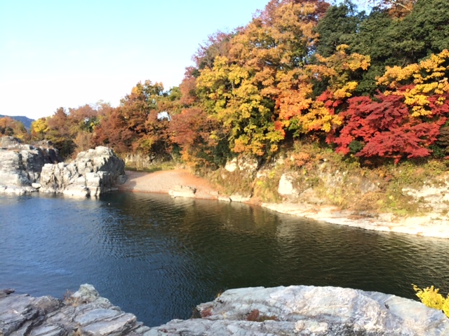 %e3%81%aa%e3%81%90%ef%bc%93%ef%bc%98 | 東京都内でロードバイク、クロスバイクを買うなら、バイスクルプロ ...